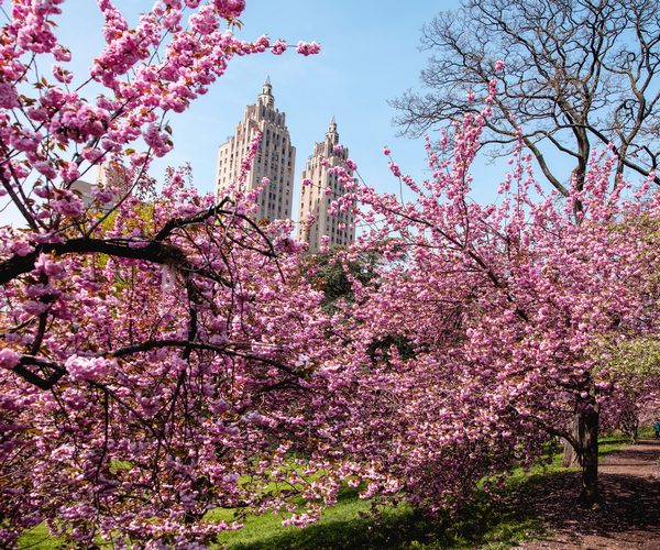 Primavera a New York: tour con accompagnatore dall'Italia - Utat Viaggi