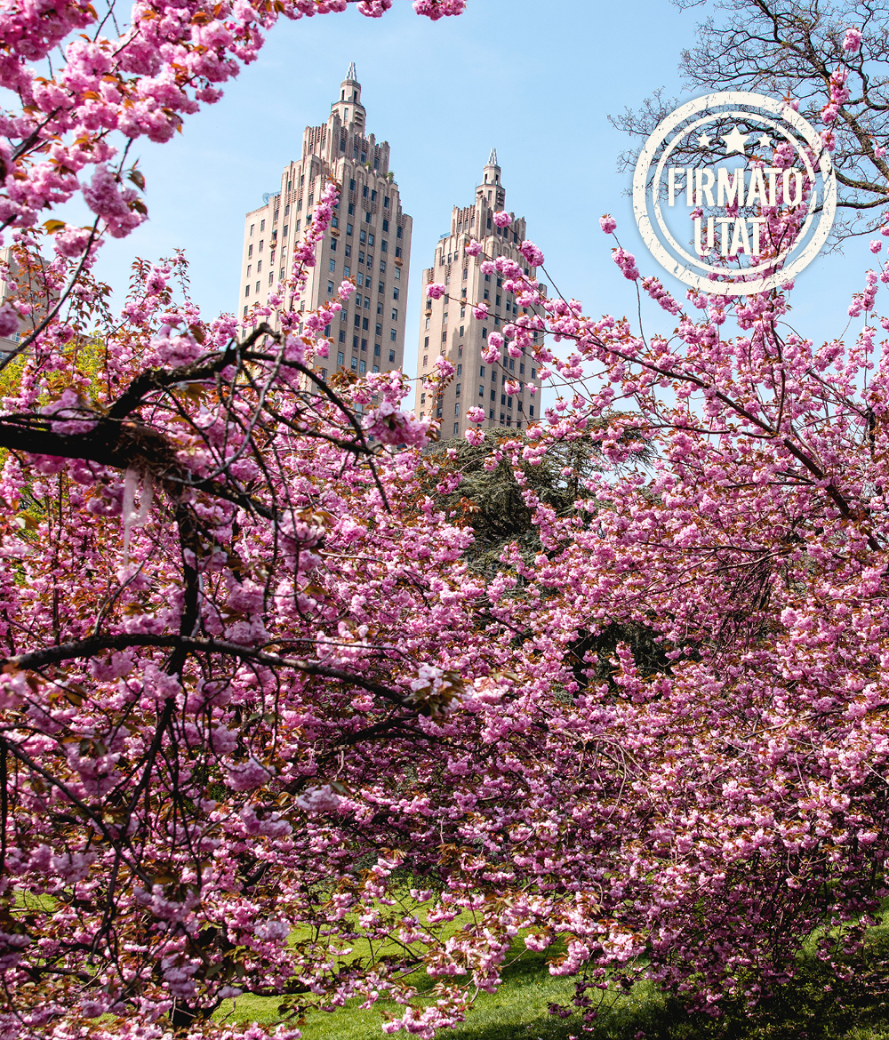 Primavera a New York: tour con accompagnatore dall'Italia - Utat Viaggi
